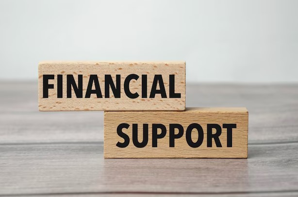 Letter of Financial Support/ Sponsorship for student visa in South ...